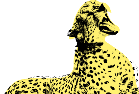 Guepardo (5) - Proactivanet