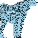 Guepardo (8) - Proactivanet